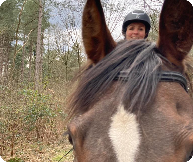 Werkwijze – Paard & Jij
